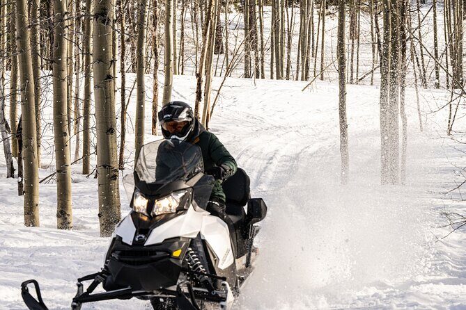Tahoe Lakeview Snowmobiling Tours - The Reviews: Authentic Voices from Past Participants