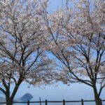 Takamatsu/Kagawa Private Custom Tour with Local Guide - Who Will Love This Tour?