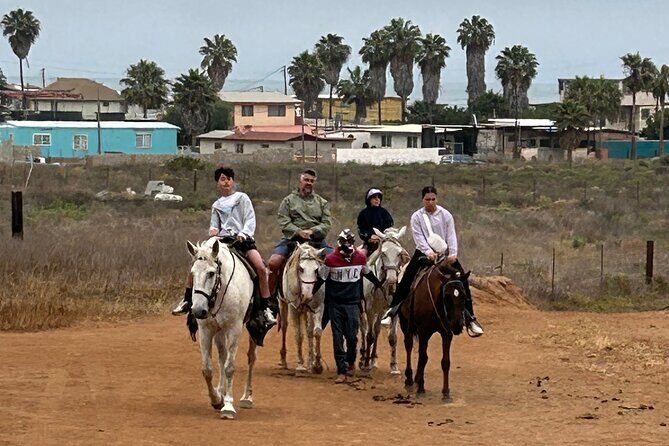 The Bufadora Tour and Horseback Riding - Whats Included and What You Should Consider