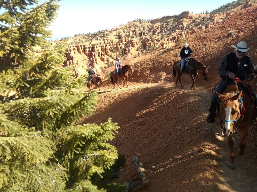 Thunder Mountain Trail: Scenic Horseback Ride - The Itinerary and Trail Highlights
