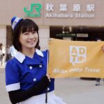 Tokyo: Akihabara 2-Hour Guided Walking Tour - Discovering Akihabara: What to Expect