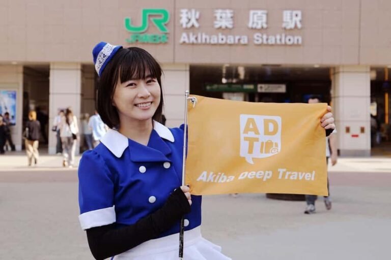 Tokyo: Akihabara 2-Hour Guided Walking Tour - Discovering Akihabara: What to Expect