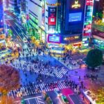 Tokyo Hidden Gems Sumo & Local Streets Day Tour - How It All Comes Together: Practical Details