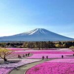 Tokyo: Mount Fuji and Hakone Private Sightseeing Day Tour - Practical Insights and Tips