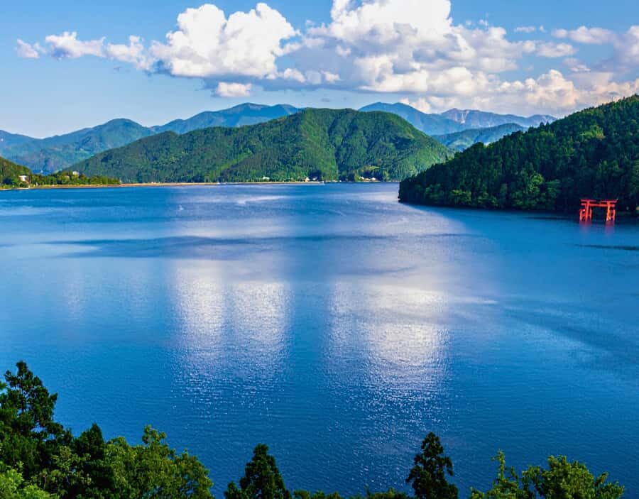 Tokyo: Mount Fuji & Hakone Highlights Private Full-Day Tour - Detailed Breakdown of the Itinerary