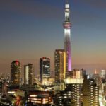 Tokyo: Private Full day customized Tour with English Driver - Who Would Love This Tour?