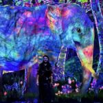 Tokyo: teamLab Planets & Toyosu Fish Market Guided Tour - The Itinerary Breakdown