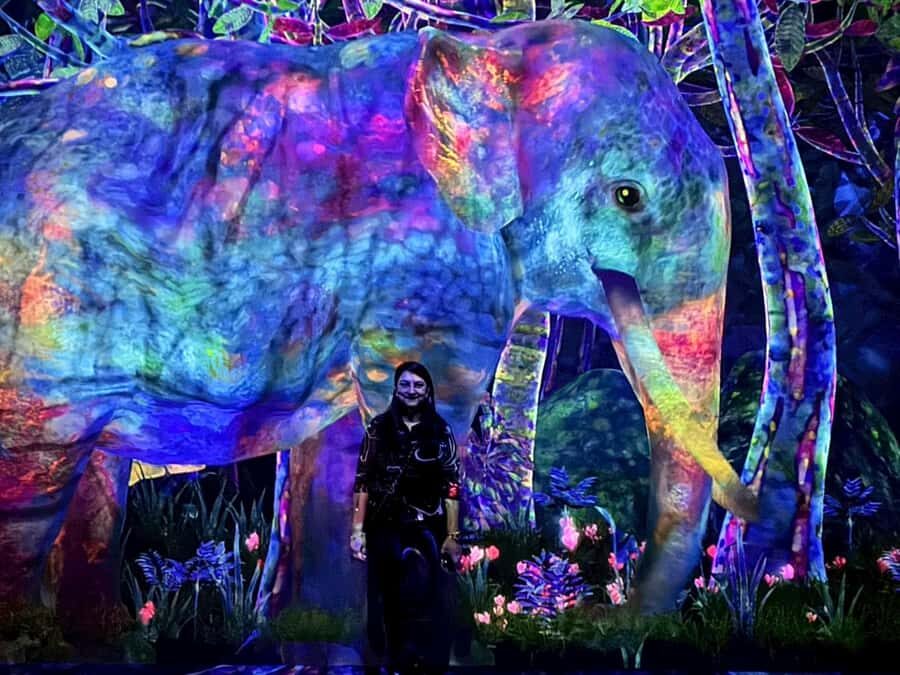 Tokyo: teamLab Planets & Toyosu Fish Market Guided Tour - The Itinerary Breakdown