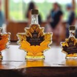 Toronto to Niagara Falls Evening Tour - The Itinerary: What to Expect