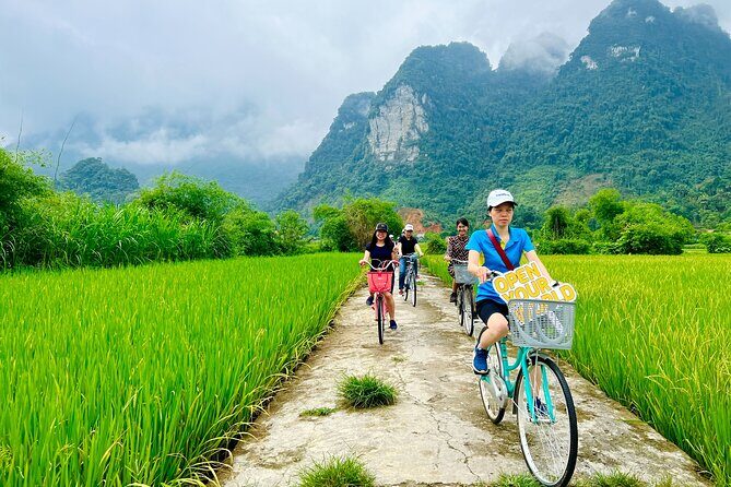 Trang An Grottoes - Hoa Lu - Mua cave [Best Price] 1 Day Trip - Transportation and Group Size