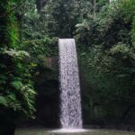 Ubud Hidden Gems: Waterfall Tour - Final Thoughts: Who Should Prioritize This Tour?