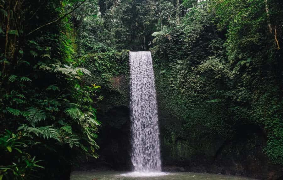 Ubud Hidden Gems: Waterfall Tour - Final Thoughts: Who Should Prioritize This Tour?