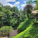 Ubud: Hidden Waterfalls, Rice terrace & Cliffside Dining - Balinese Spirituality at Tirta Empul