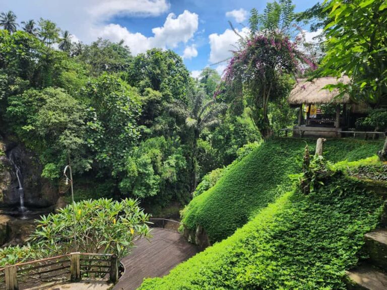 Ubud: Hidden Waterfalls, Rice terrace & Cliffside Dining - Balinese Spirituality at Tirta Empul