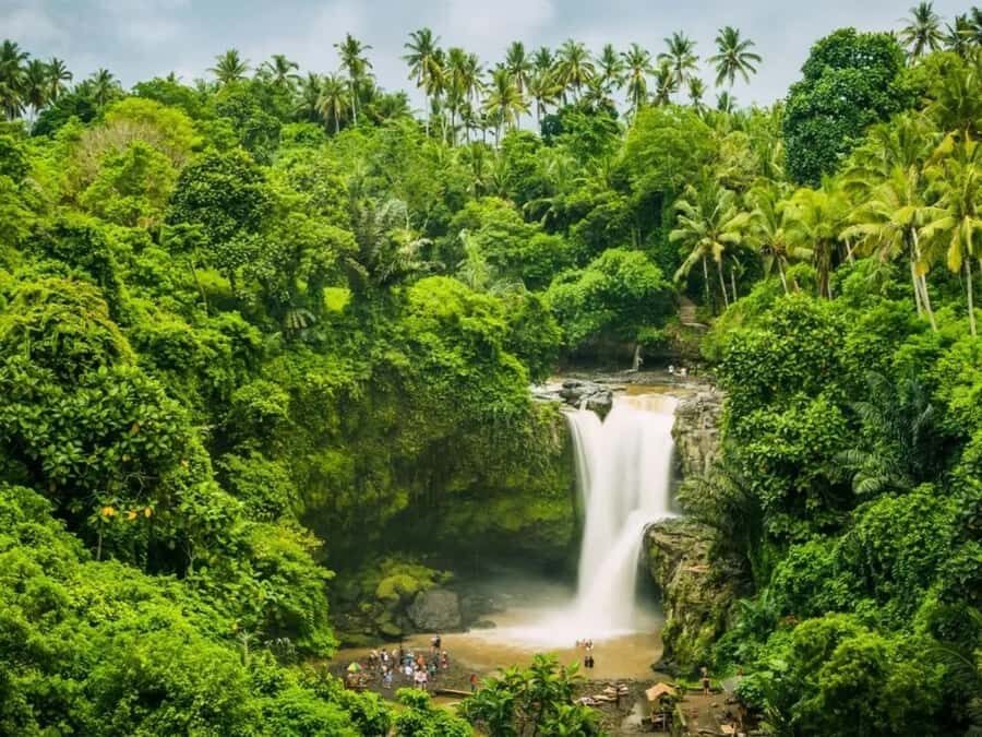 Ubud: Jungle Mud Buggy, Waterfall & Cretya Pool Private Tour - What You Can Expect During the Day