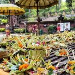 Ubud: Tirta Empul, Rice Terrace, Waterfall and Custom Tour - A Deep Dive into the Experience
