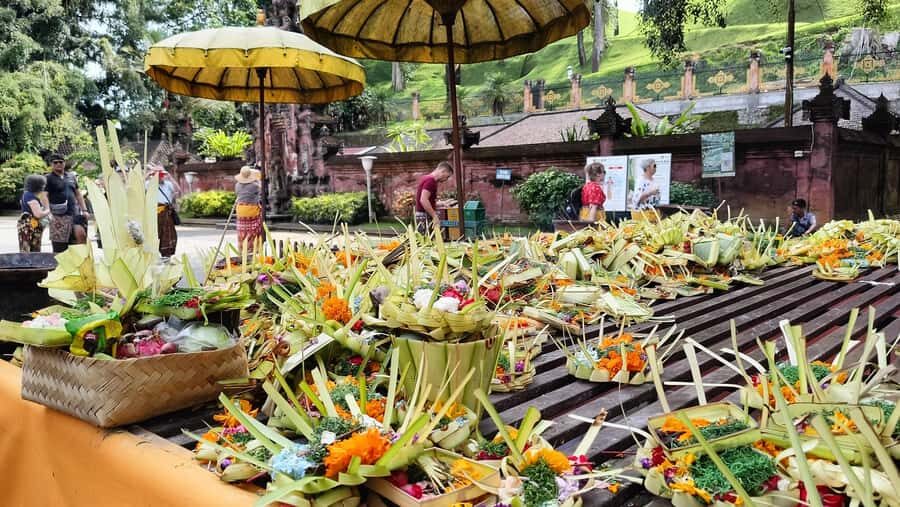 Ubud: Tirta Empul, Rice Terrace, Waterfall and Custom Tour - A Deep Dive into the Experience