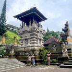 Ubud: Tirta empul temple, Rice terrace and Waterfall - What Makes This Tour Stand Out