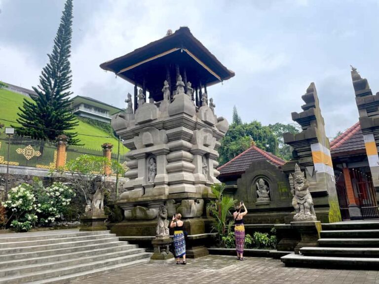 Ubud: Tirta empul temple, Rice terrace and Waterfall - What Makes This Tour Stand Out