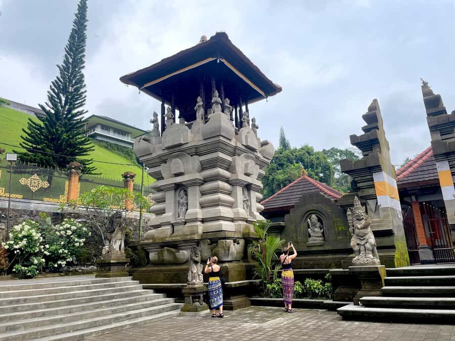 Ubud: Tirta empul temple, Rice terrace and Waterfall - What Makes This Tour Stand Out