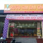 Unique Phu Quoc Full Day Private North and South Journey - The Itinerary: A Day of Contrasts and Highlights