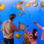 Vancouver Aquarium: Skip-the-Line Ticket - Who Is This Tour Best For?