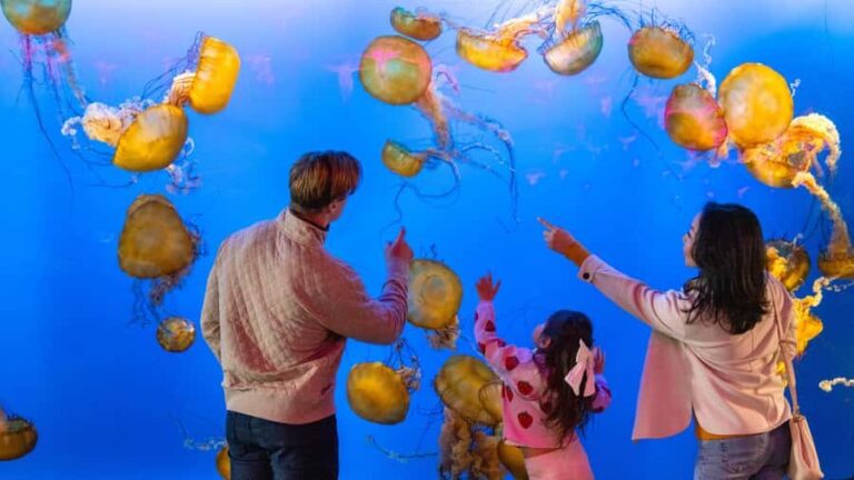 Vancouver Aquarium: Skip-the-Line Ticket - Who Is This Tour Best For?