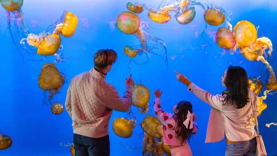 Vancouver Aquarium: Skip-the-Line Ticket - Who Is This Tour Best For?