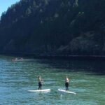Vancouver: Morning Kayak & Seal Cruise - Marine Wildlife and Mountain Views