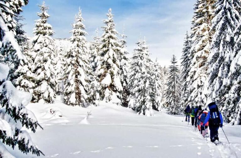 Vancouver:Guided Snowshoe Adventure in North Shore Mountains - Snowshoeing Through a Winter Wonderland