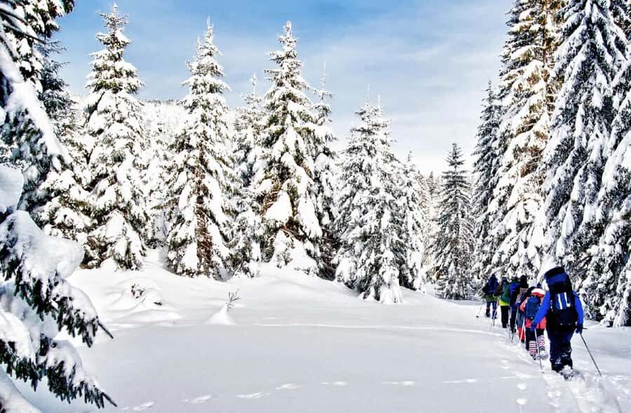 Vancouver:Guided Snowshoe Adventure in North Shore Mountains - Snowshoeing Through a Winter Wonderland