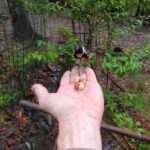 Walking In The History and Nature of Uji Kyoto - Authenticity and Value for Money