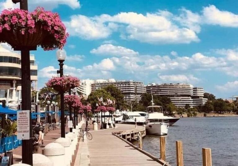 Washington D.C : Best Street Food Tour With A Local Guide - Why This Tour Offers Good Value