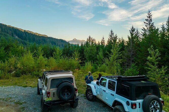 Whistler Bear Tour - Who Is This Tour Best For?