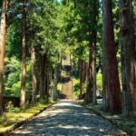 Yamanashi: Minobusan, Japans Sacred Mountain of Faith - What Travelers Say