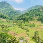 Yogyakarta Selogriyo Trek & Borobudur Drone Adventure - Practical Details and Value