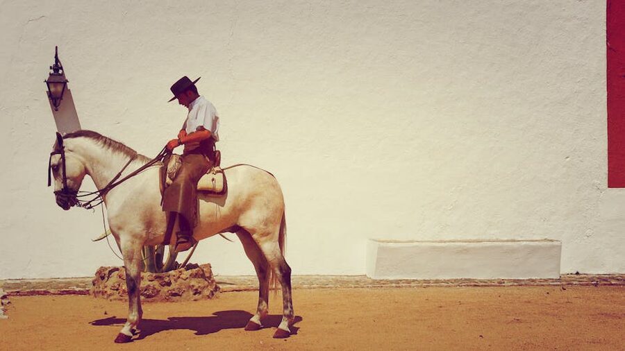 Andalusian horseman in traditional attire on white horse