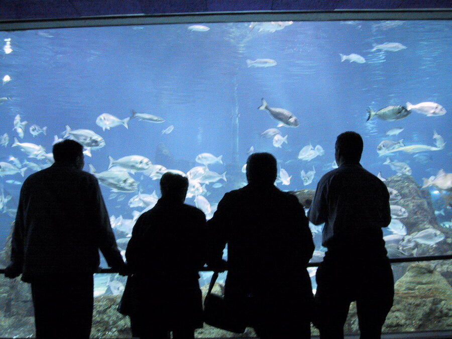 Aquarium de Barcelona early 2000s view