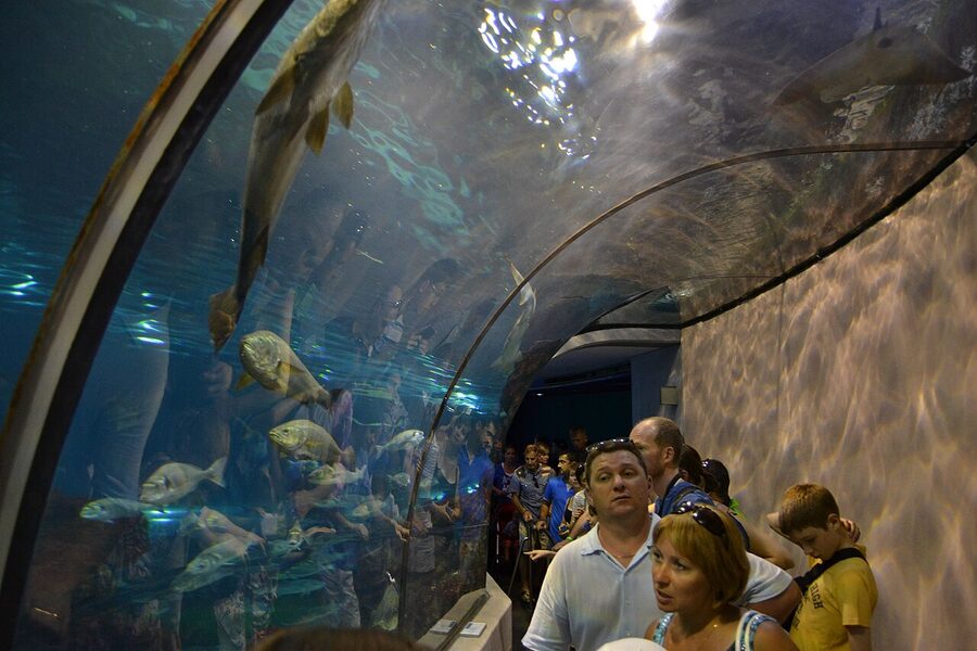 Barcelona Aquarium underwater walkway