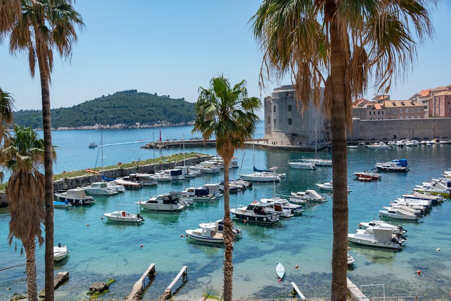 Marina with boats and palm trees against Dubrovnik backdrop