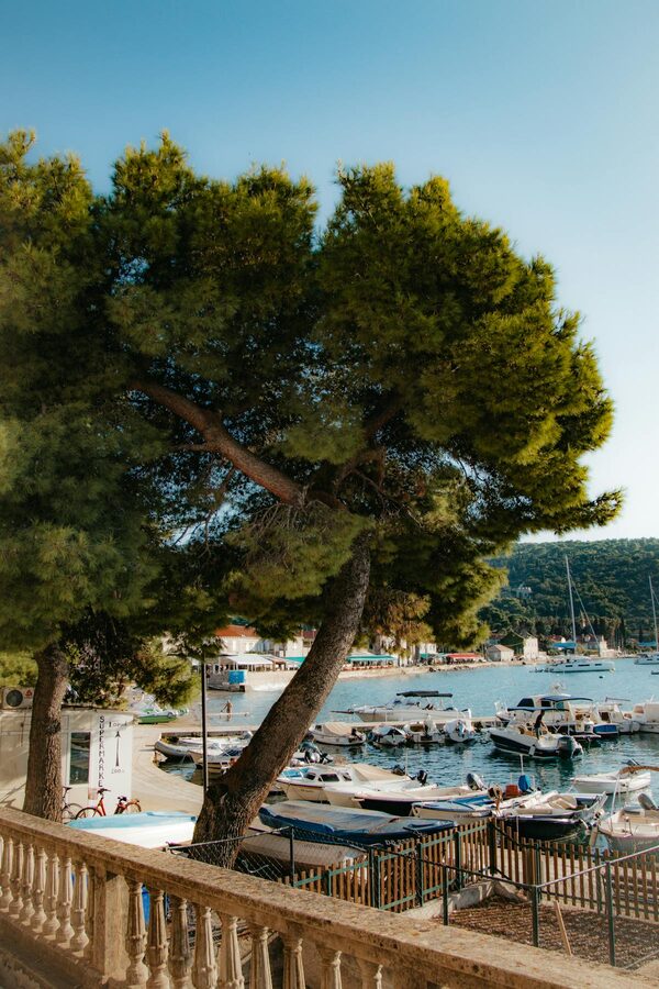 Boats in Lopud harbour surrounded by trees and Mediterranean buildings