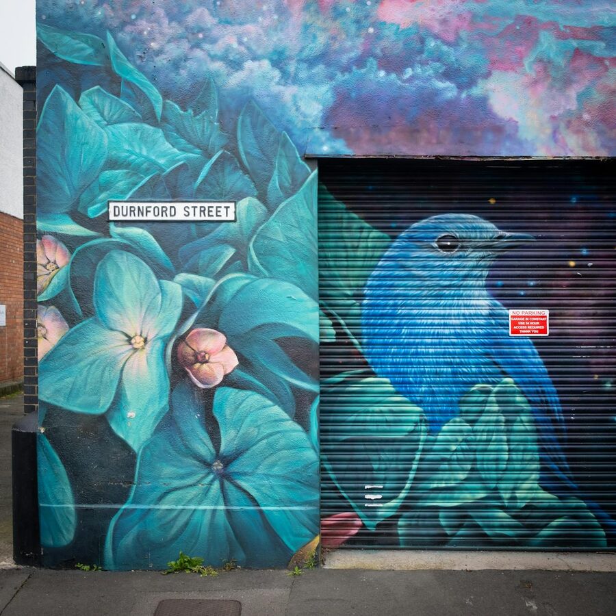 Blue bird mural on a Belfast street with floral elements