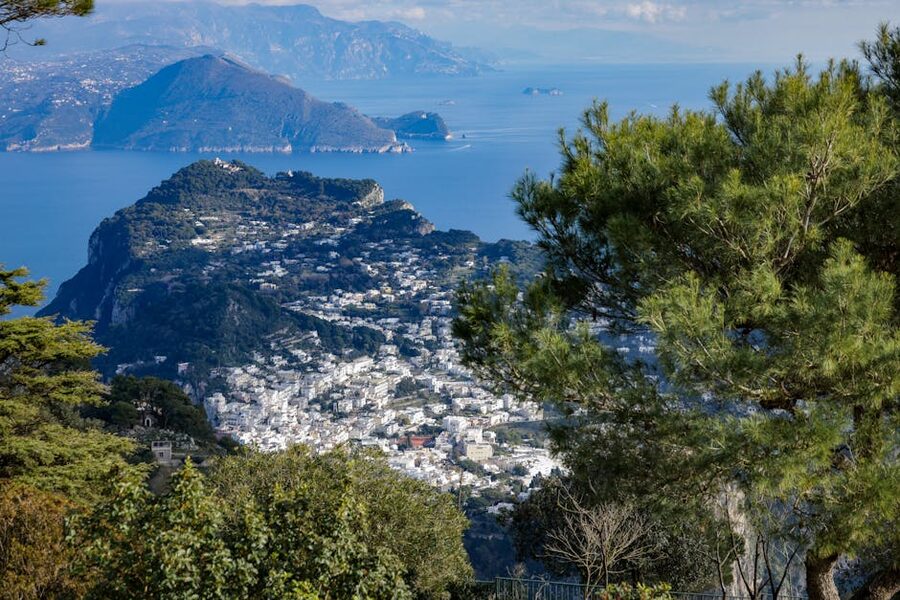 Capri Island aerial view with greenery
