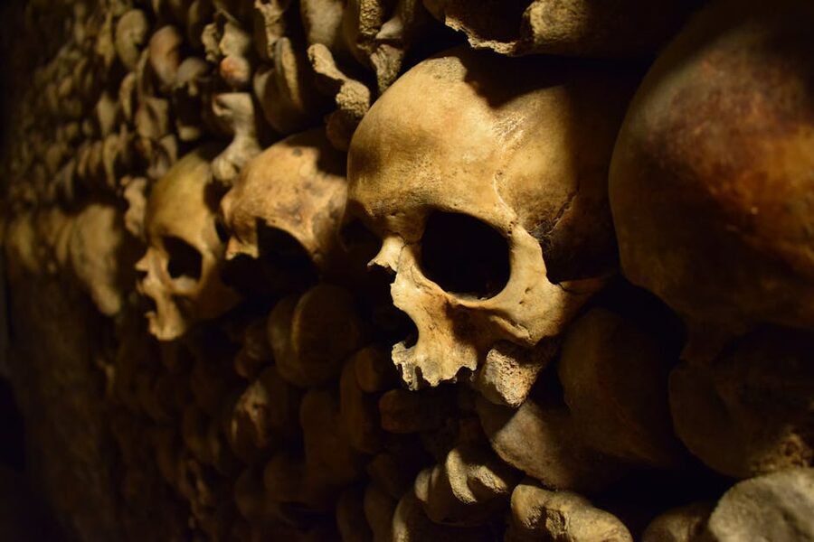 Catacomb skulls close up