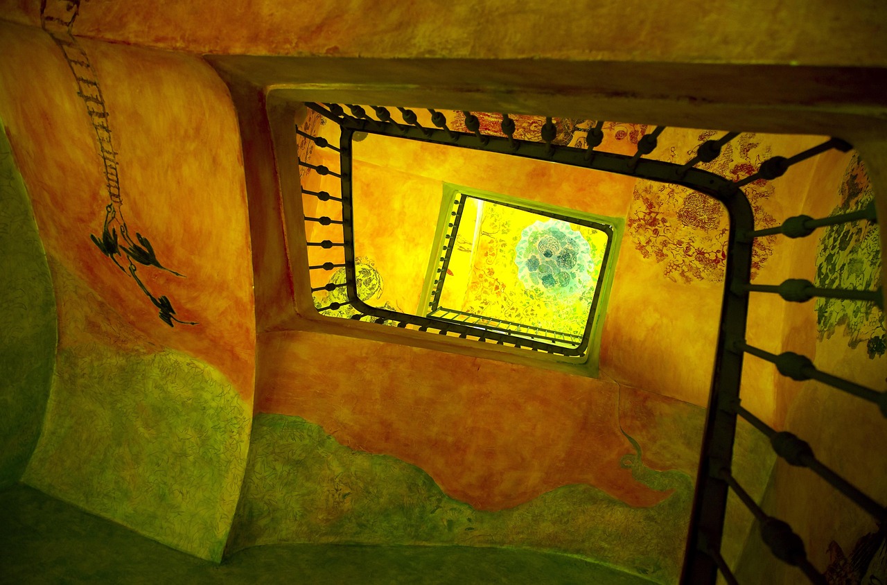 Catalonia wine vineyards