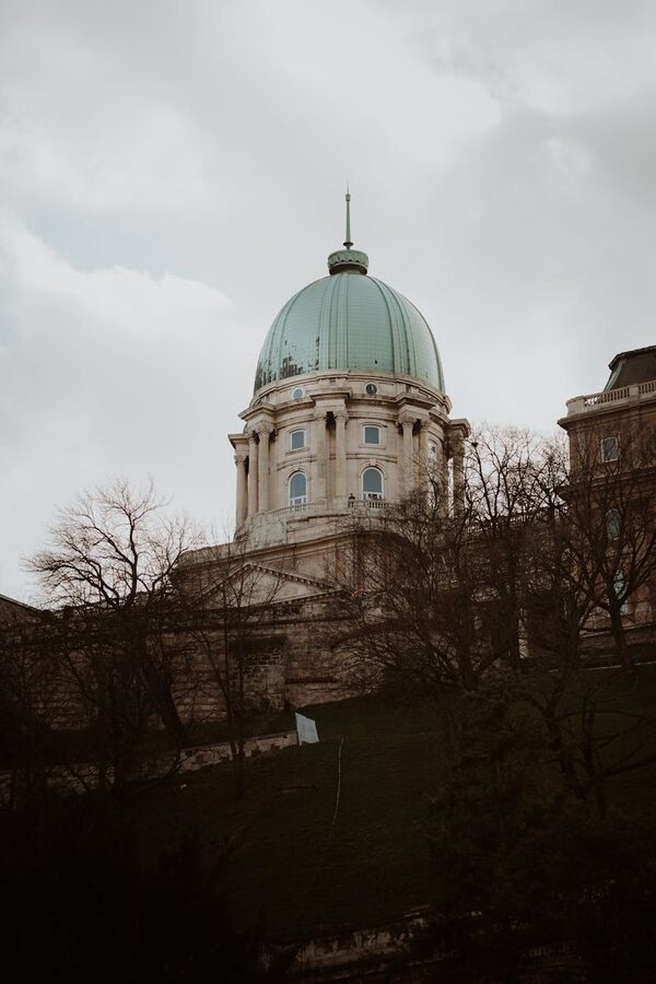 Buda Castle dome with bare trees Budapest
