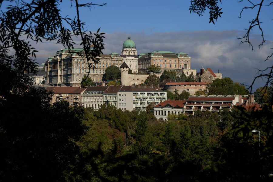 Buda Castle framed by autumn trees
