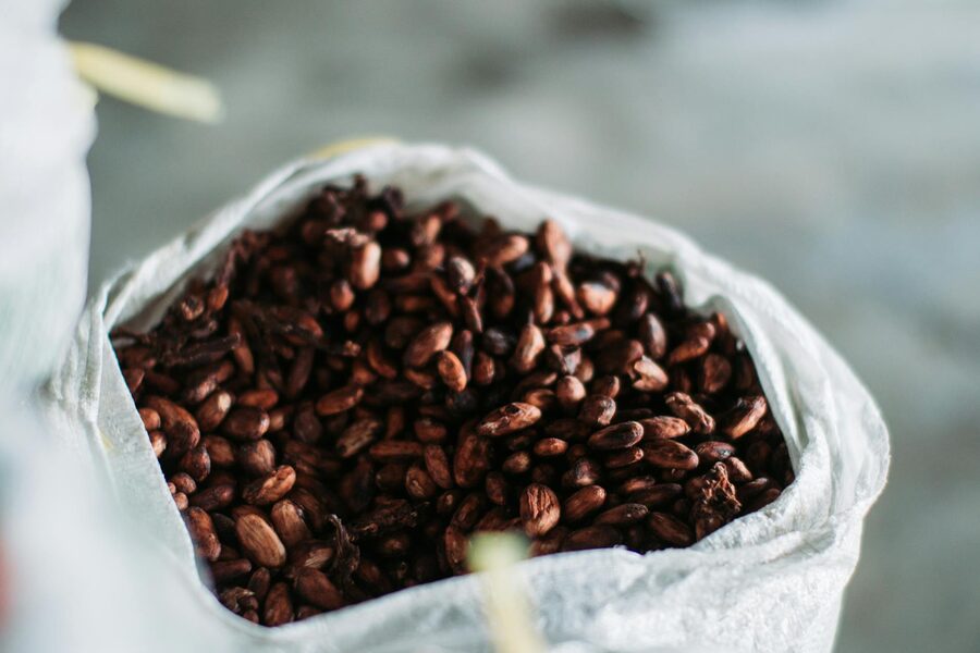 Close-up of aromatic cocoa beans in a sack