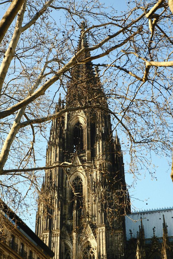 Cologne Cathedral spire seen through bare winter branches against blue sky