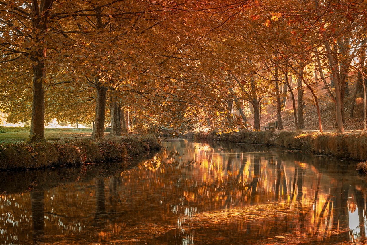 Calleja de las Flores